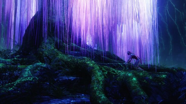 Avatar and the morphogenetic field – Orgonise Africa